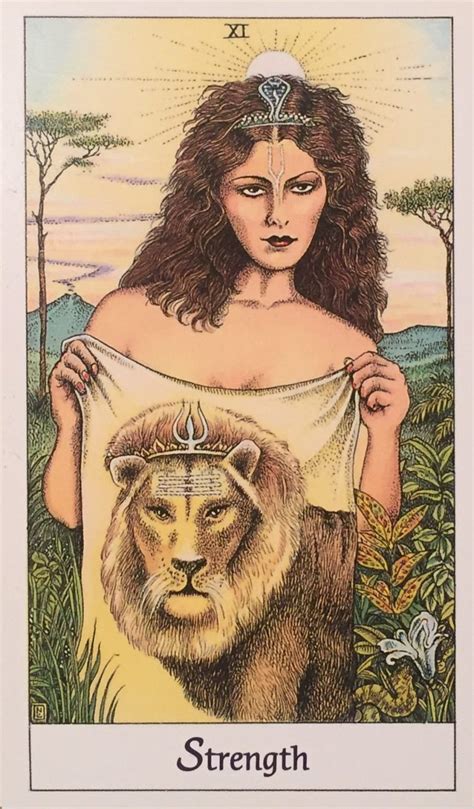 Theres A Tarot Card For Every Zodiac Sign Heres What To Know About Yours Evolve Me