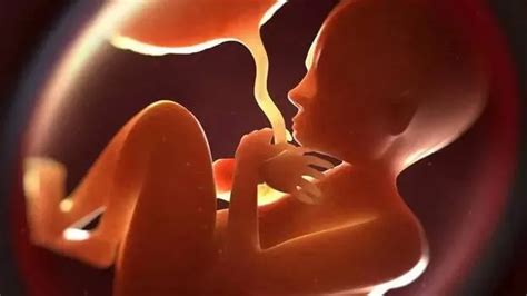 Aborts Pregnancy To Hide Relationship Throws Foetus In Drain India