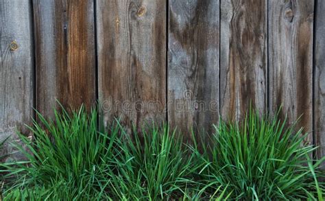 Spring Green Grass Over Wood Fence Background Stock Image Image Of