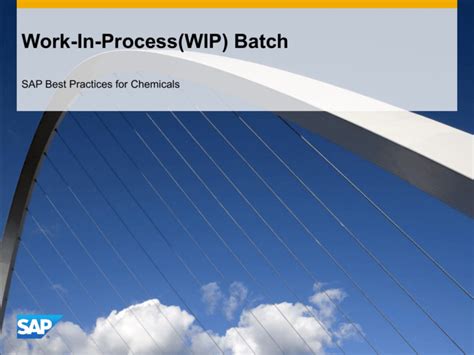 Sap Wip Batch Chemicals Industry Best Practices