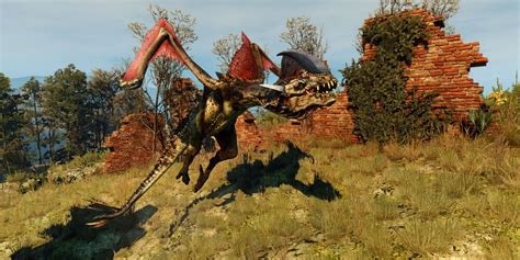 Witcher 3 Mastercrafted Griffin Armor Diagram Locations