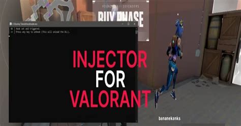 P100 Dll Injector Valorant Raversto En Büyük Korsan Oyun Web Sitesi
