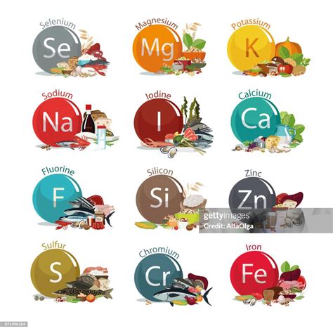 12 Microelements For Human Health High Res Vector Graphic Getty Images