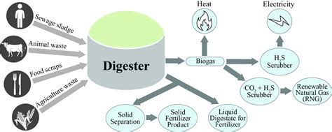 Anaerobic Digestion Ebr 2023 0686 University Of Maryland Extension