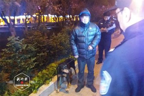 烈性犬、沒犬證 哈市民警一晚「拘留」13隻問題狗狗 每日頭條
