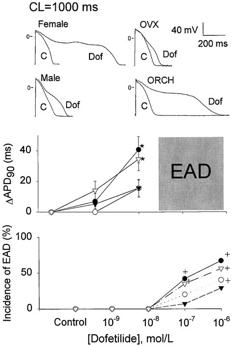 Impact Of Sex And Gonadal Steroids On Prolongation Of Ventricular