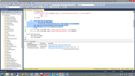 Which Reporting Services Dataset Fields Are Being Utilized By The Reports
