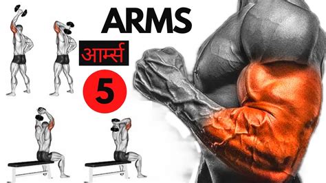 How To Build Your Arms Fast Biceps Triceps Youtube