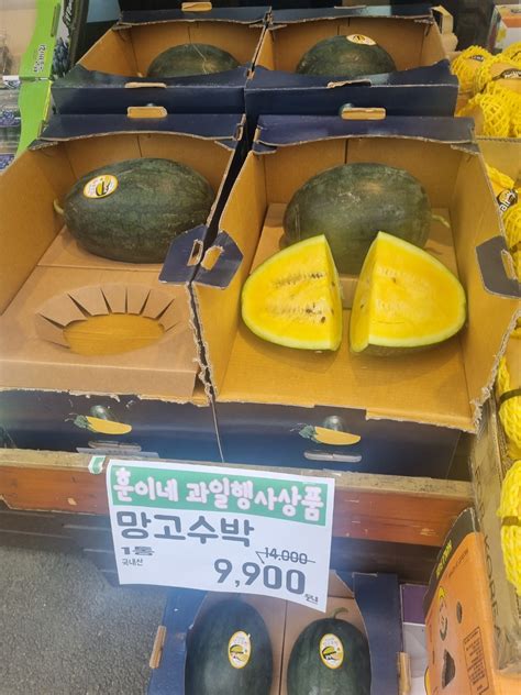 망고수박 9900원 수박 12000원 딸기 7900원 참외 1봉지 7900원 토마토 15000원 강원특별자치도