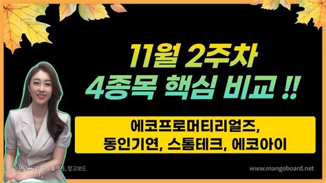공모주 11월 2주차 종목 한 눈에 비교하기 에코프로머티리얼즈 동인기연 스톰테크 에코아이 Youtube