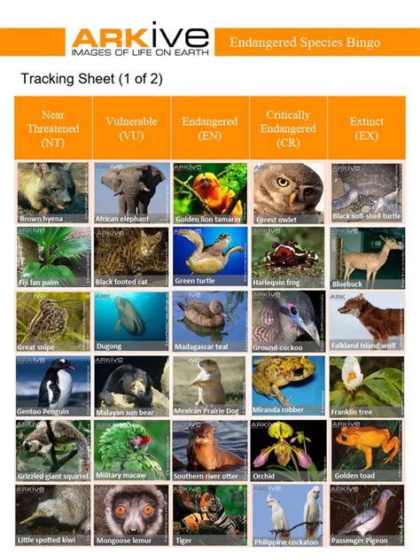 12372 An Introduction To Endangered Species For 11 14 Yrs Arkive