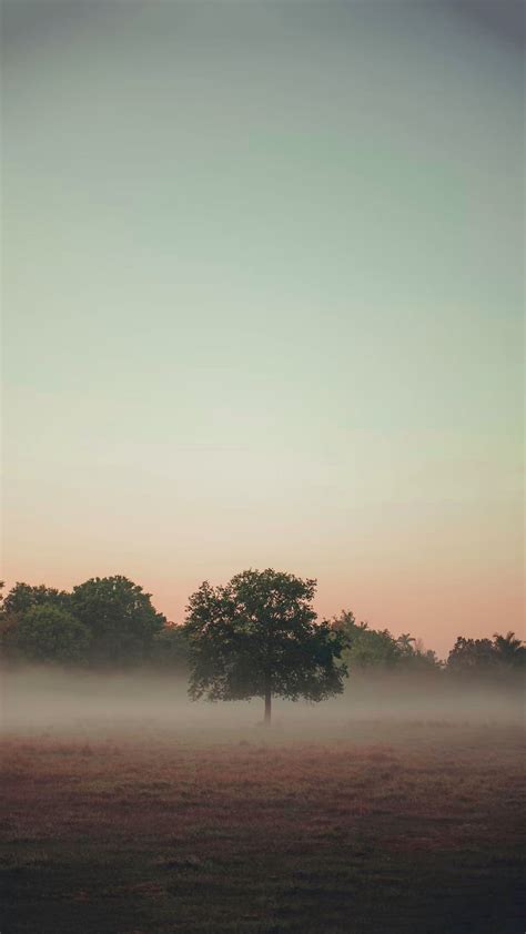 Fog Wallpapers Tubewp