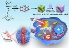 Materials Today Nano X Mol