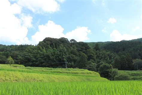 長崎街道冷水峠 観光スポット 公式福岡県の観光 旅行情報サイトクロスロードふくおか