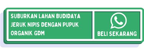 Cara Budidaya Jeruk Nipis Untuk Pemula Dan Peluang Usahanya