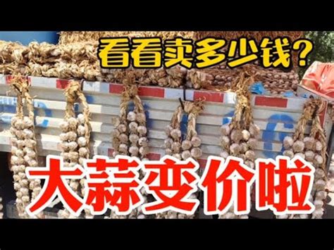 Vlog Youtube