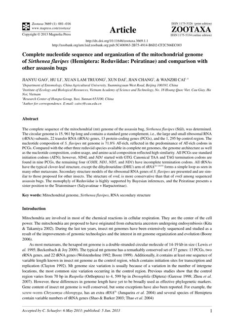 Pdf Complete Nucleotide Sequence And Organization Of The Mitochondrial Genome Of Sirthenea