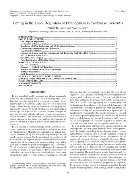 Pdf Getting In The Loop Development In Caulobacter Crescentus