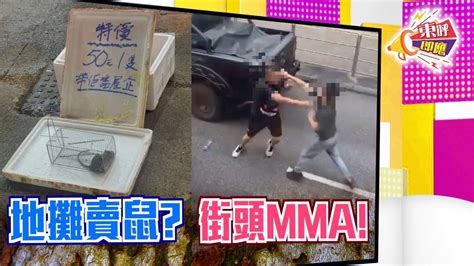 【oncc東網】東呼即應：地攤50元特價賣老鼠 壯漢遭兜錘窩面跪低 Youtube