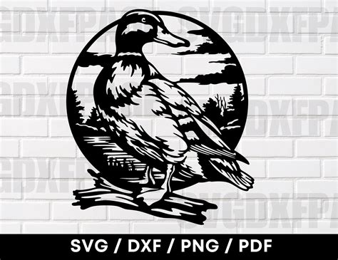 Mallard Scene Png Dxf Svg Wild Duck Svg Mallard Clipart Duck Png