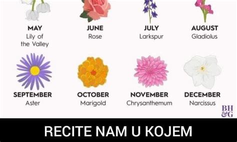 RECITE NAM U KOJEM MJESECU STE ROĐENI SVAKI MJESEC IMA SVOJ CVIJET I