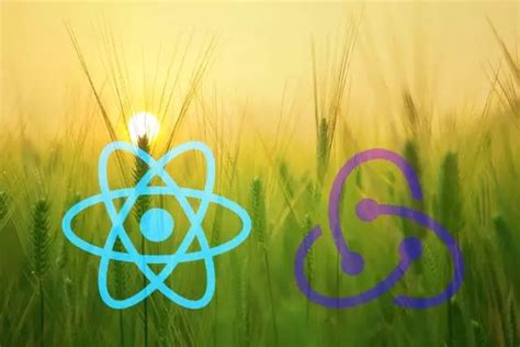 在 2017 年学习 React Redux 的一些建议（中篇） 子傲代码魔法 小鑫的技术流水账