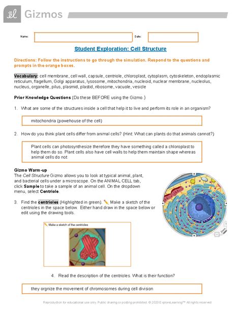 Babe Exploration Mouse Genetics Two Traits Name
