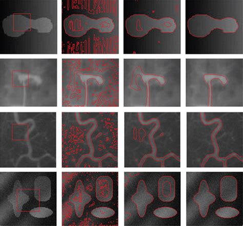 Robust Active Contours For Fast Image Segmentation Ding 2016