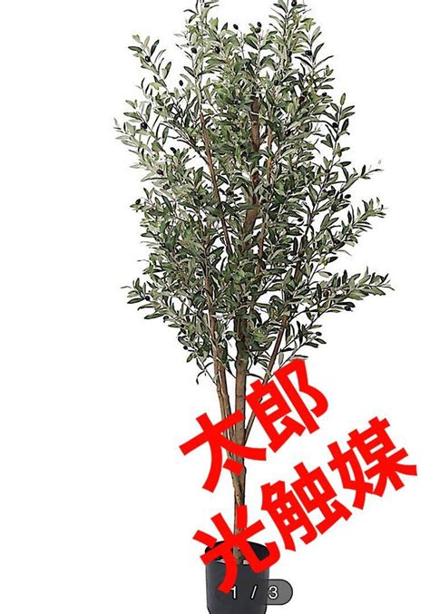 光触媒 人工観葉植物 ウォールグリーン フェイクグリーン トラベルパームgp