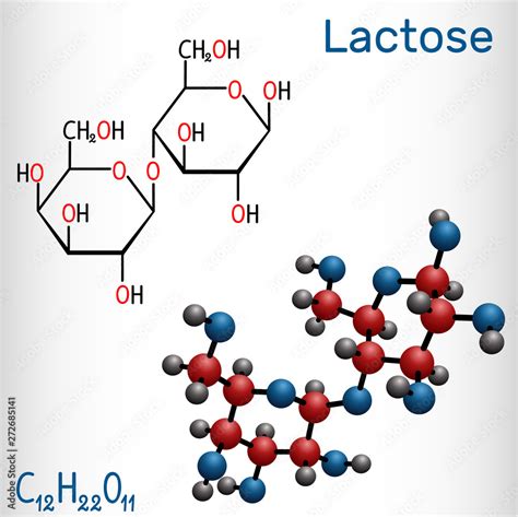 Lactose Molecule Structure