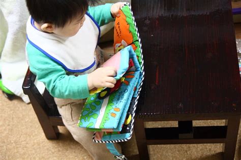 読書 日記今週のとらちゃん Tatsuo Yamashita Flickr