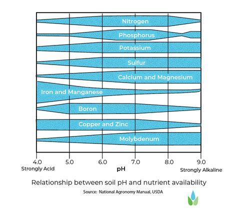 Soil Ph And Nutrient Availability