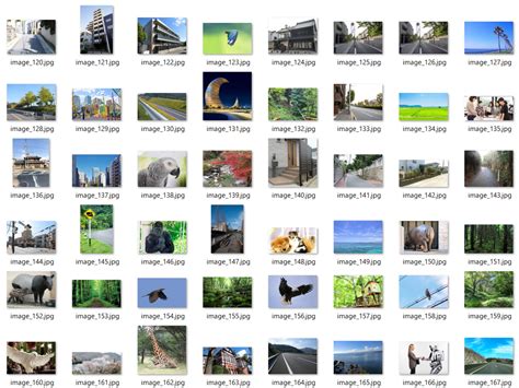 Opencv Python