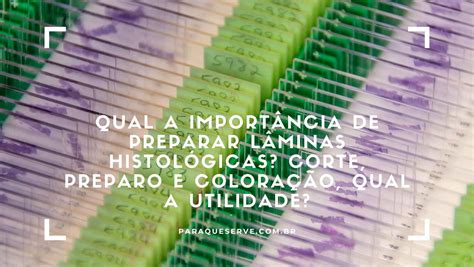 Para Que Serve As Lâminas De Histologia Saiba Tudo Sobre