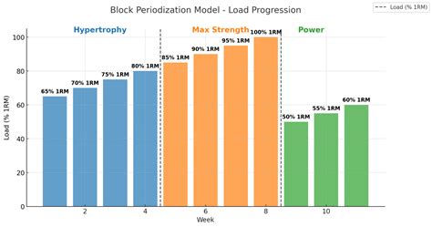 Periodization In Training Unlocking Peak Performance Official Blog