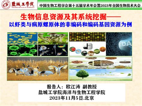 海生学院欧江涛应邀在中国生物工程学会年会上作学术报告 盐城工学院海洋与生物工程学院
