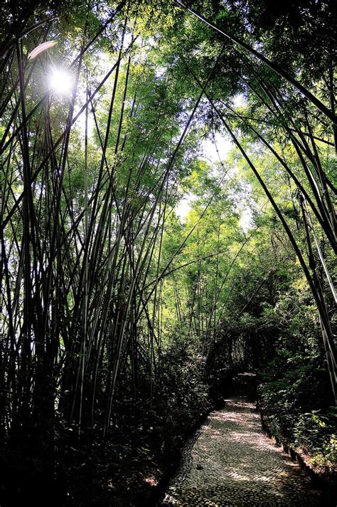 欽州八寨溝 每日頭條