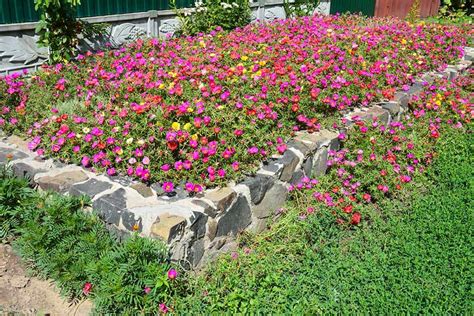 7 Gorgeous Raised Bed Vegetable Gardens Off Grid World