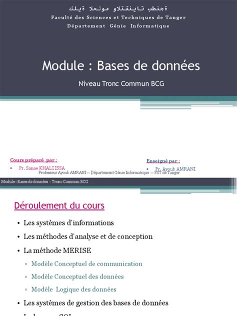 Module Bdd Pdf