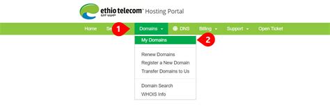 How To Update Your Et Domain Nameserver From Ethiotelecom Yegara