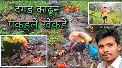 दगडी काढून पकडले खेकडे Dagadi Kadhun Pakadale Khekadecrabecrab