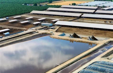 Aemetis Biogas Completes Initial Construction Phase Of Multi Dairy