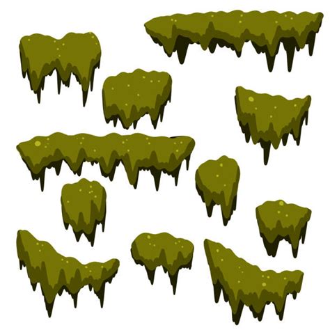 Overgrown Grass Isolated Illustrations Royalty Free Vector Graphics