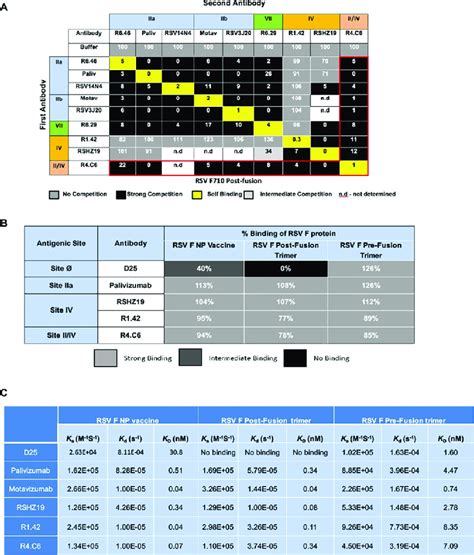 Epitope Binning And Binding Of MAbs To RSV F Glycoprotein A Epitope