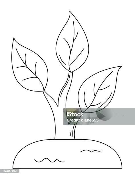 หน้าหนังสือระบายสีฟาร์มเด็กน่ารัก ต้นกล้า ภาพประกอบสต็อก ดาวน์โหลดรูปภาพตอนนี้ ต้นกล้า