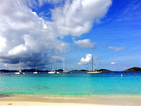 The 15 Best Caribbean Reefs 2026 Tripadvisor