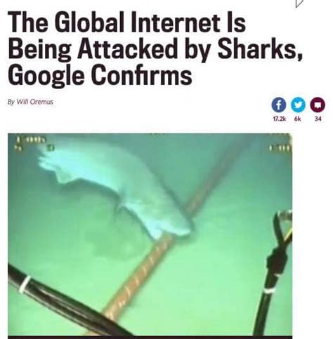 Shark Wireshark 😂 Devrant