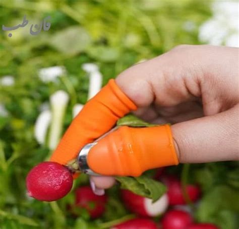 چاقو انگشتی Armor فان طب