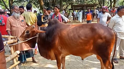 আজ ৭ জুন হবিগঞ্জের ব্যবসায়ী কেমন দামে মাংসেরওজন সহ কুরবানির জন্য