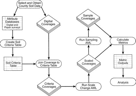 Flow Chart Showing The Data Preparation And Processing Procedures Used